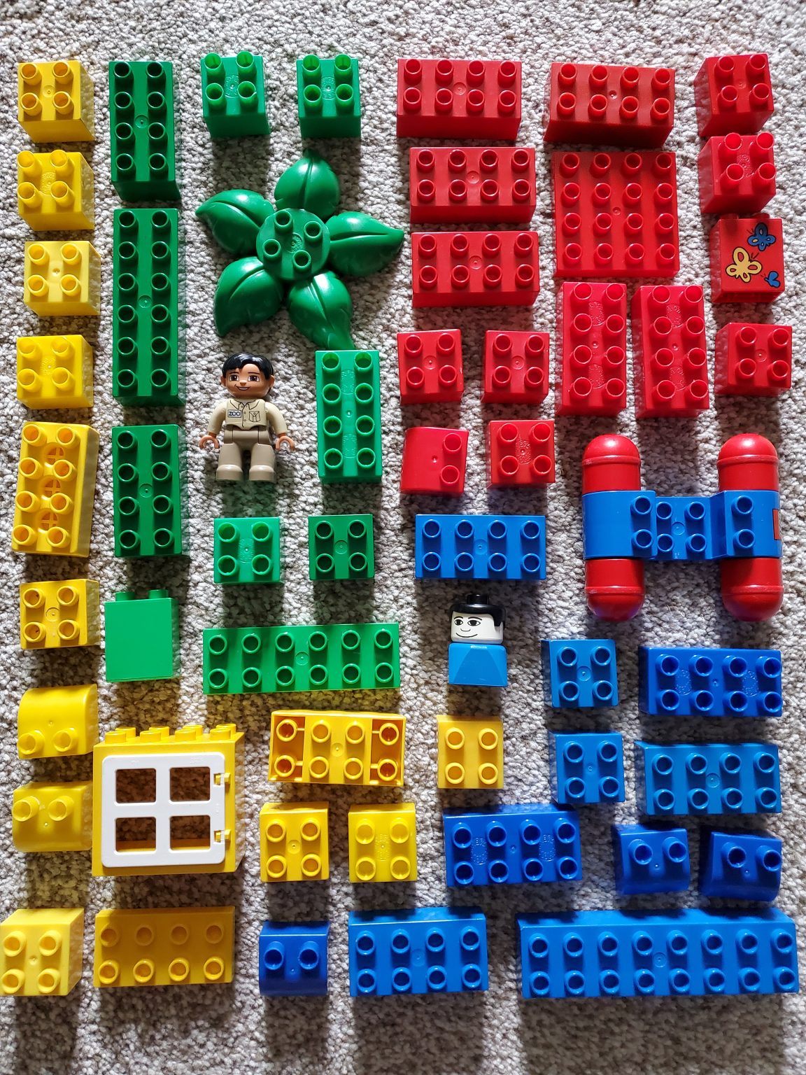 55 Piece Jungle Assortment – Denver Blocks